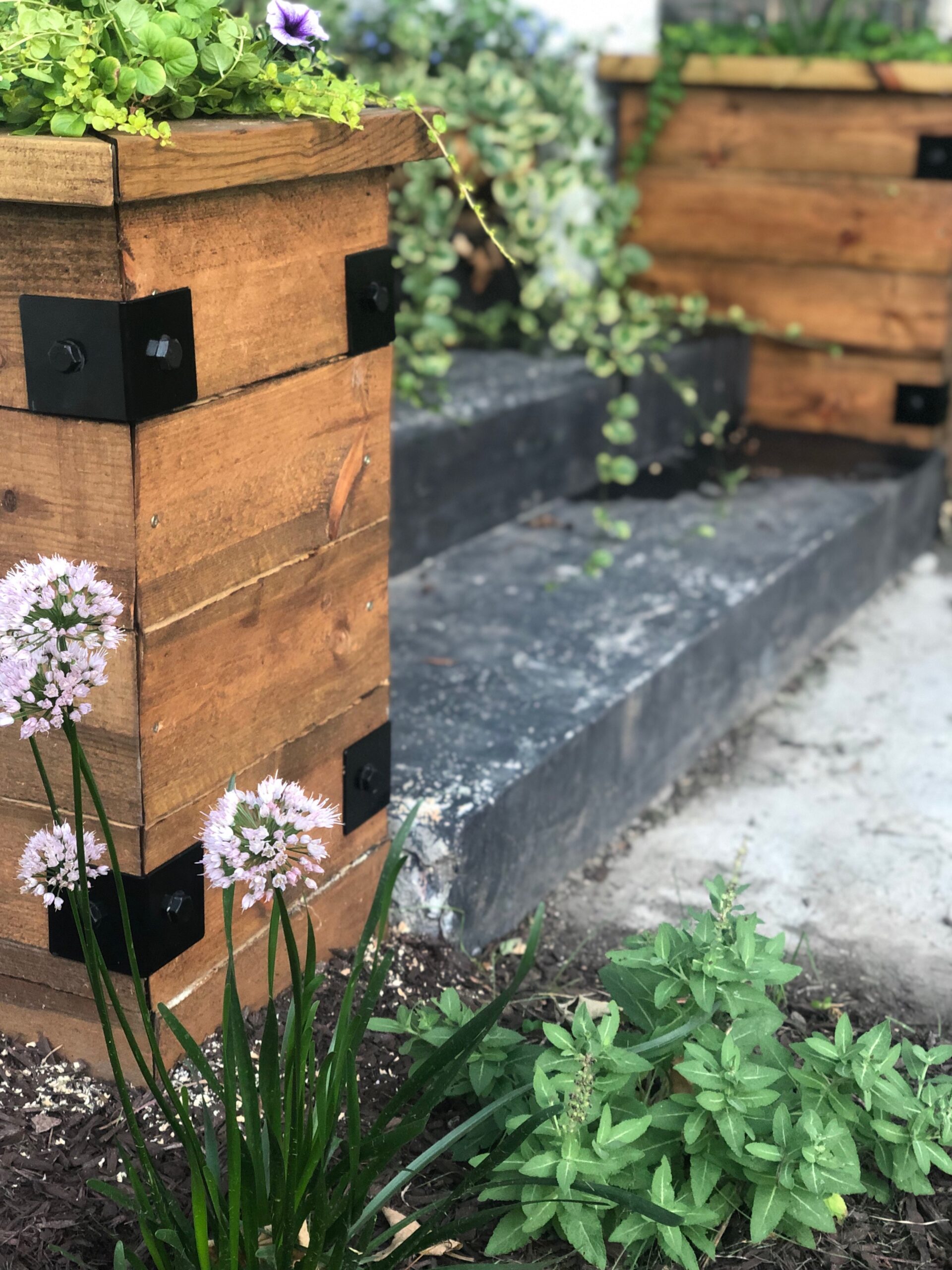 Clover Lane Blog - How To Make Raised Planter Box